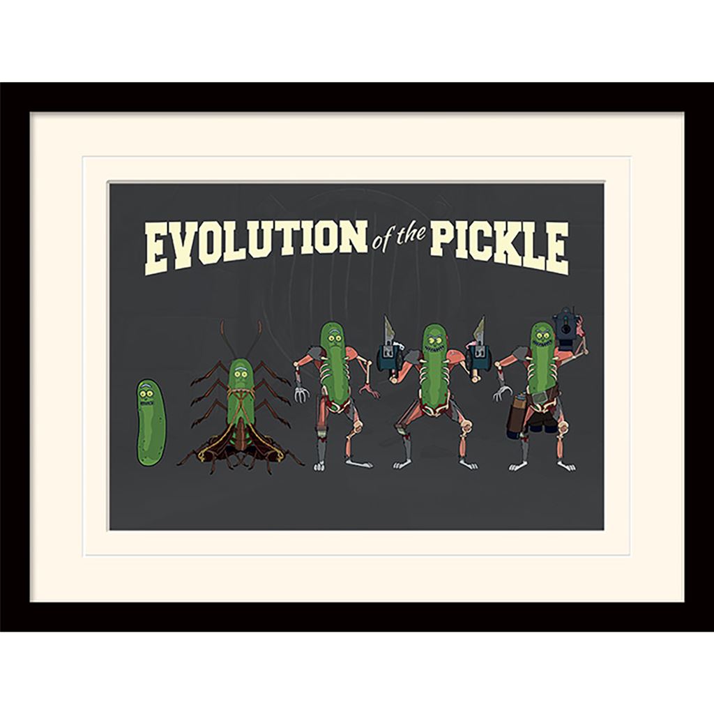 Rick And Morty (Evolution Of The Pickle) Framed 30x40cm Print with Mou ...